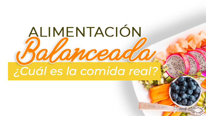 Alimentación balanceada: Características de una comida sana - Real Food